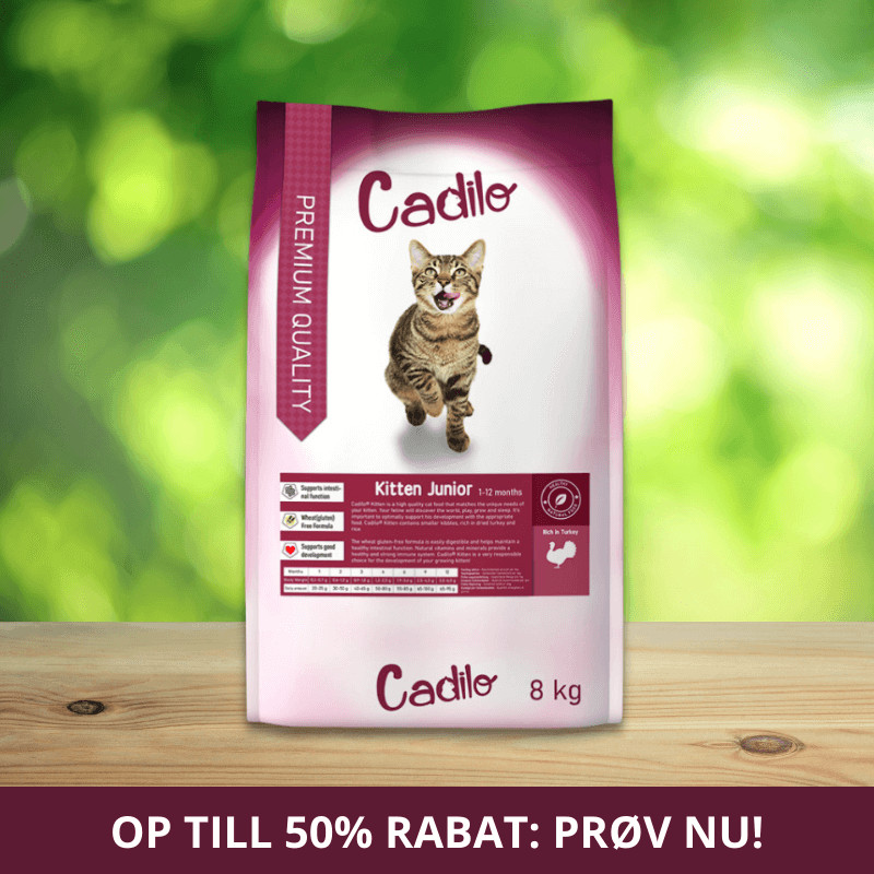 Cadilo Premium kattfoder provpaket | Förmånliga priser